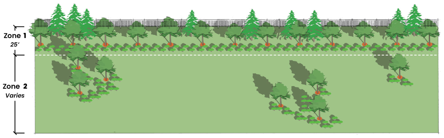 Article 20. Landscaping, Screening, & Tree Protection | Read The UDO